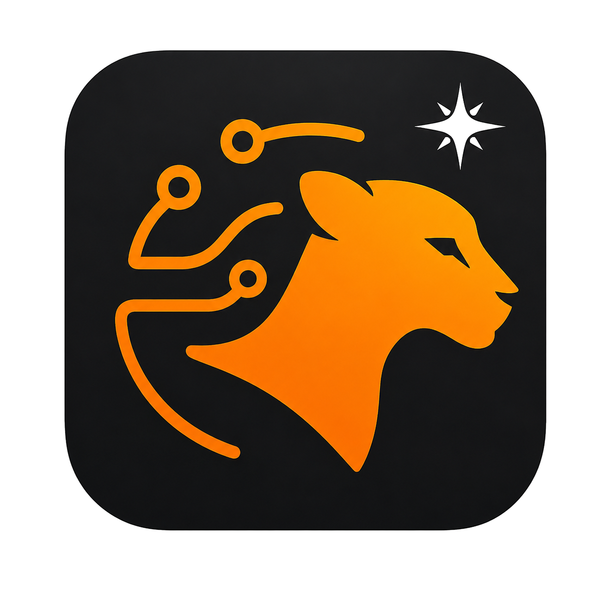Cheetah AI — Move at the Speed of Intelligence